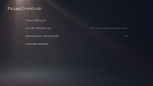 PS5 Devkit/Testkit Debug Settings pictures surface - Wololo.net
